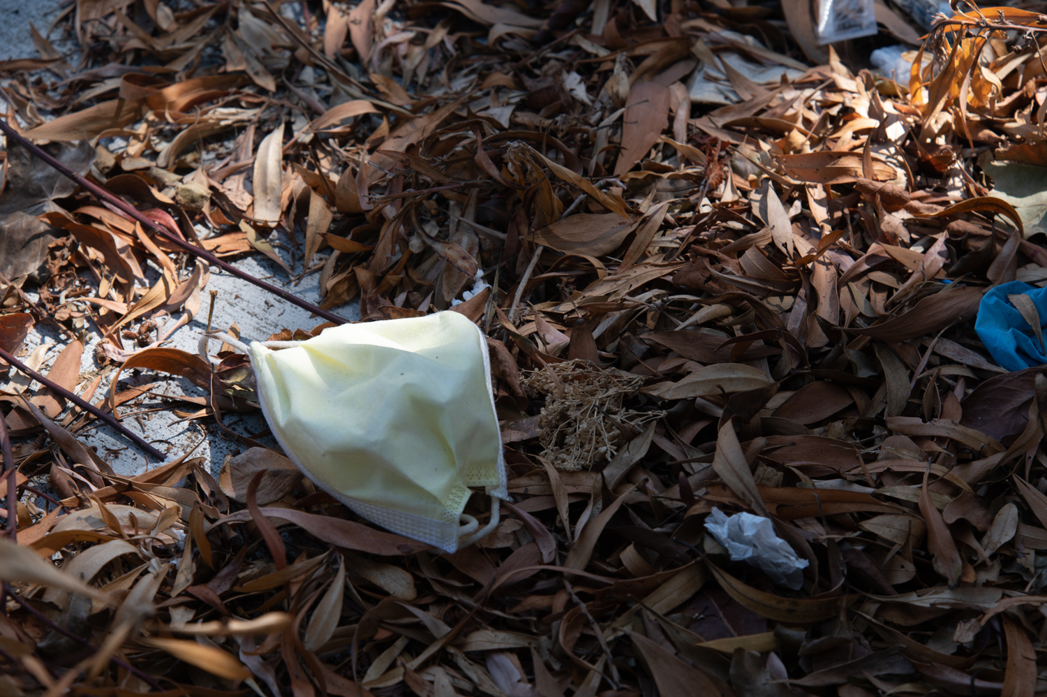 Mask. | Musings on the Planet